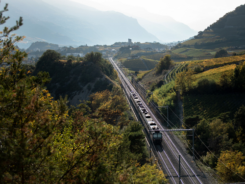 BCVS - Indicateur économique